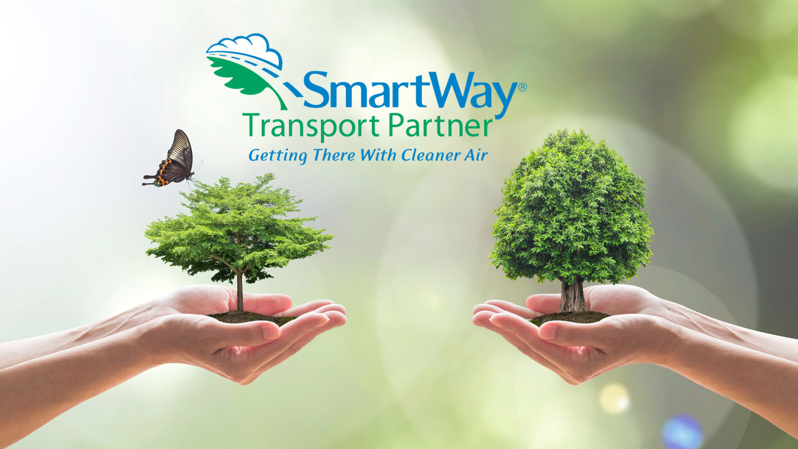 Panamex – Pan American Express Inc